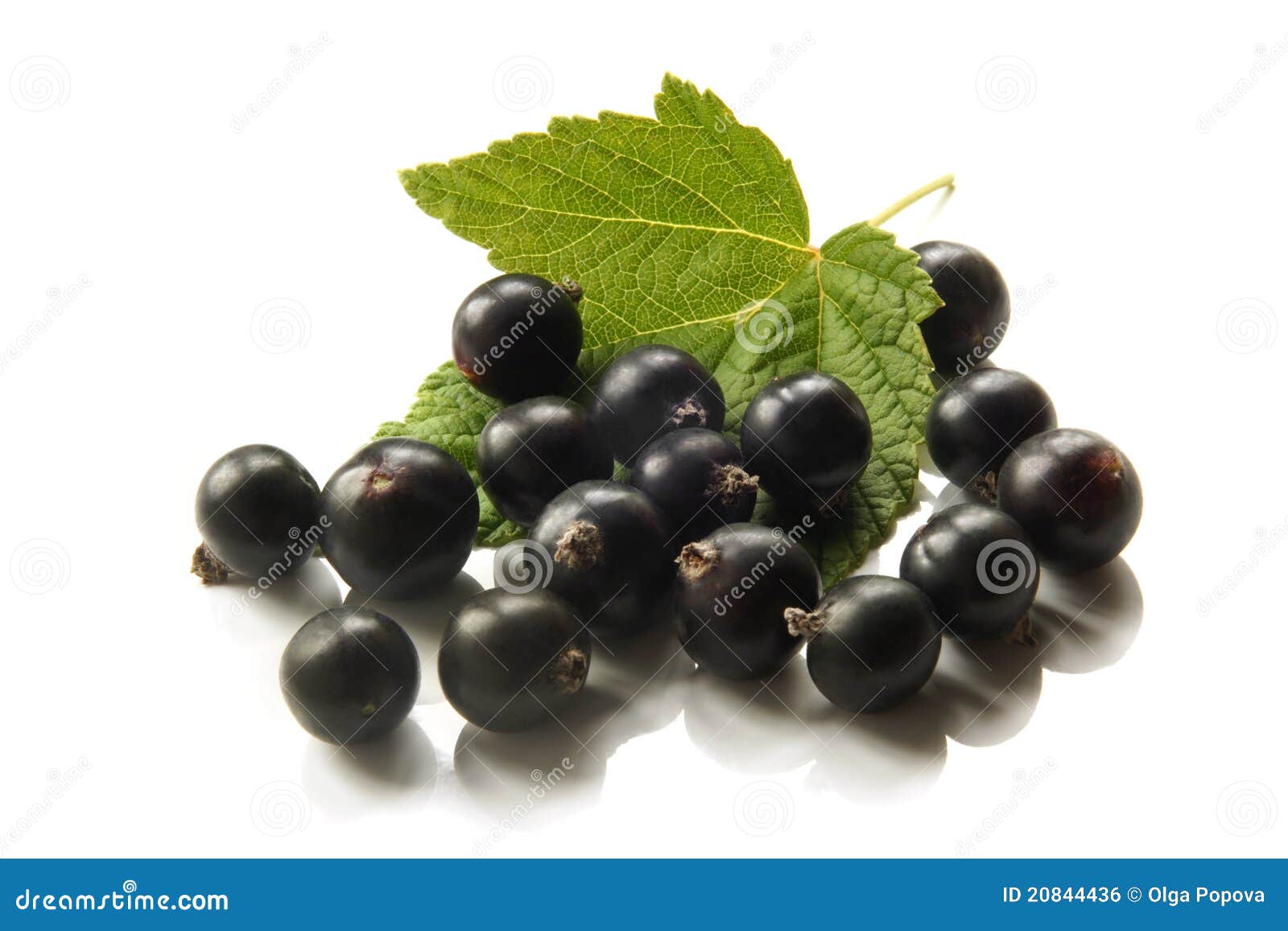Bessen Van Een Zwarte Bes Met Blad Stock Foto - Image of blackcurrant ...