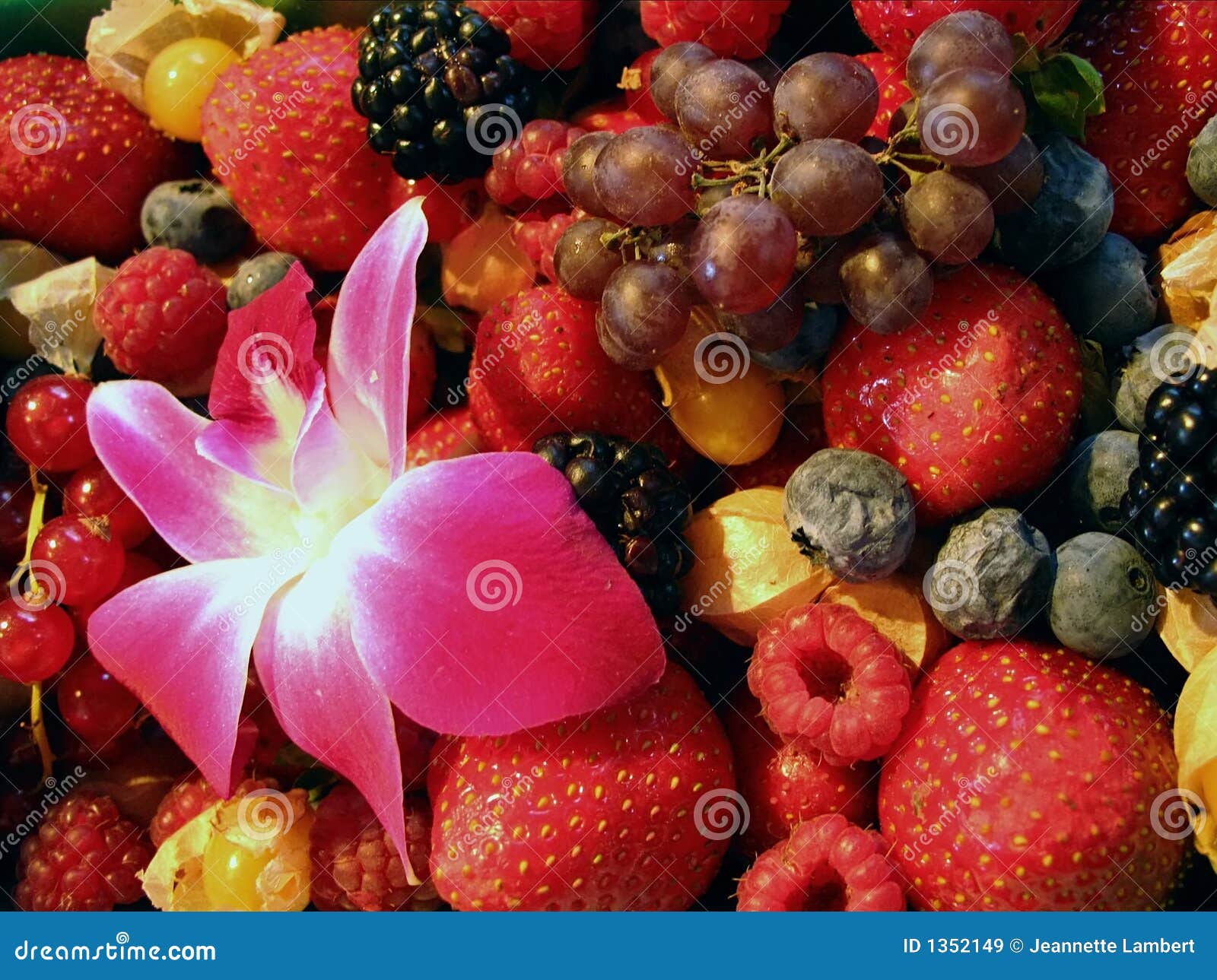 Bessen, Vers Fruit, Bloem in De Markt Van Landbouwers Stock Afbeelding ...