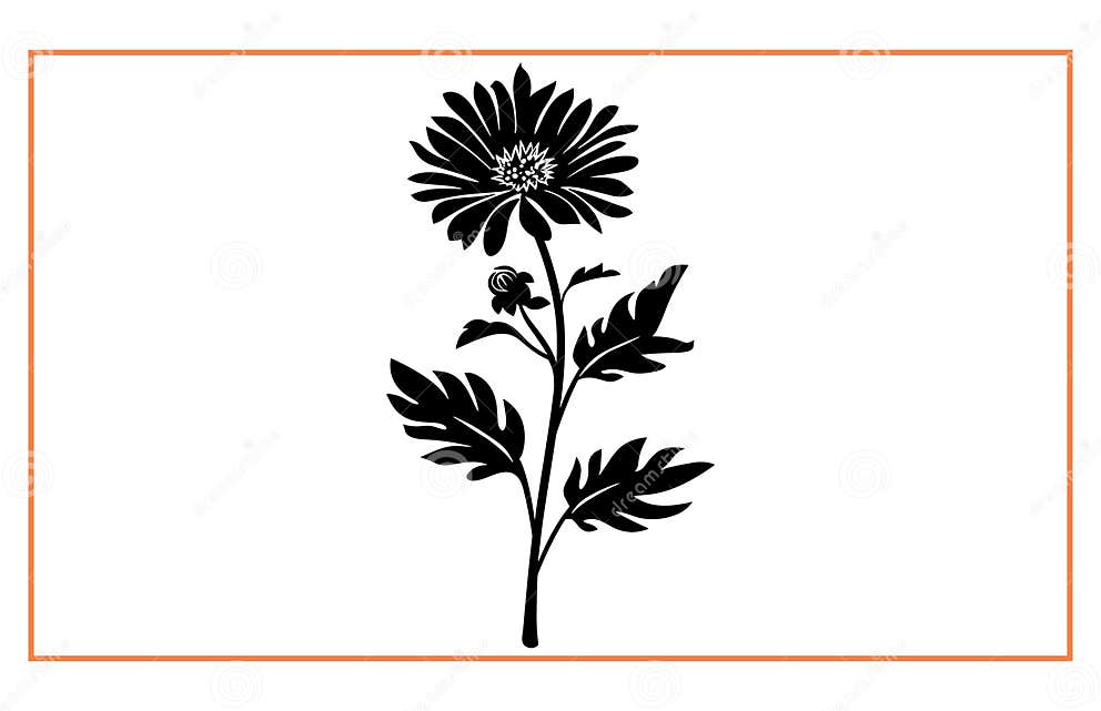 Best Aster Flower Icon, Aster Flower Silhouette Stock Vector ...