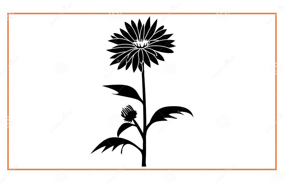 Best Aster Flower Icon, Aster Flower Silhouette Stock Vector ...