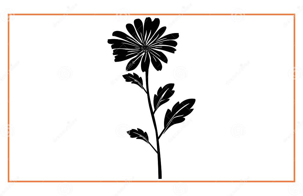 Best Aster Flower Icon, Aster Flower Silhouette Stock Vector ...
