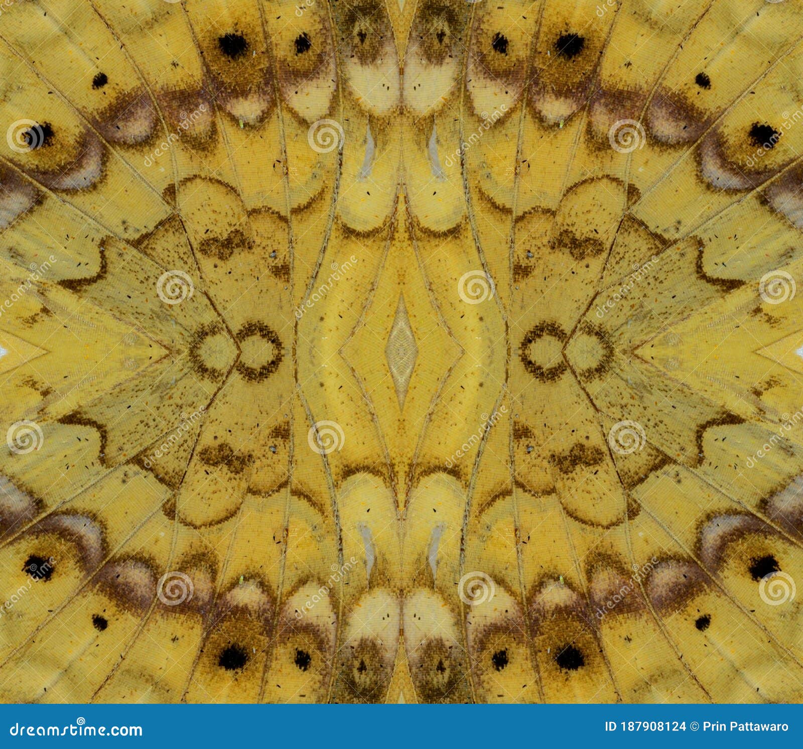 Beautiful Brown and Yellow Background Pattern Made from Butterfly Wing ...