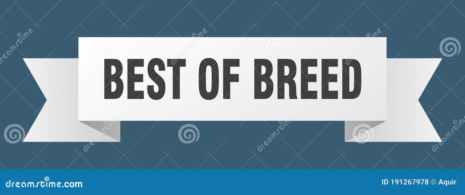 Best of breed ribbon. stock vector. Illustration of seal - 191267978