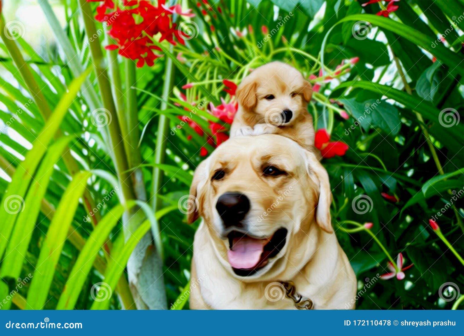 Best buddies forever stock photo. Image of puppies, forever - 172110478