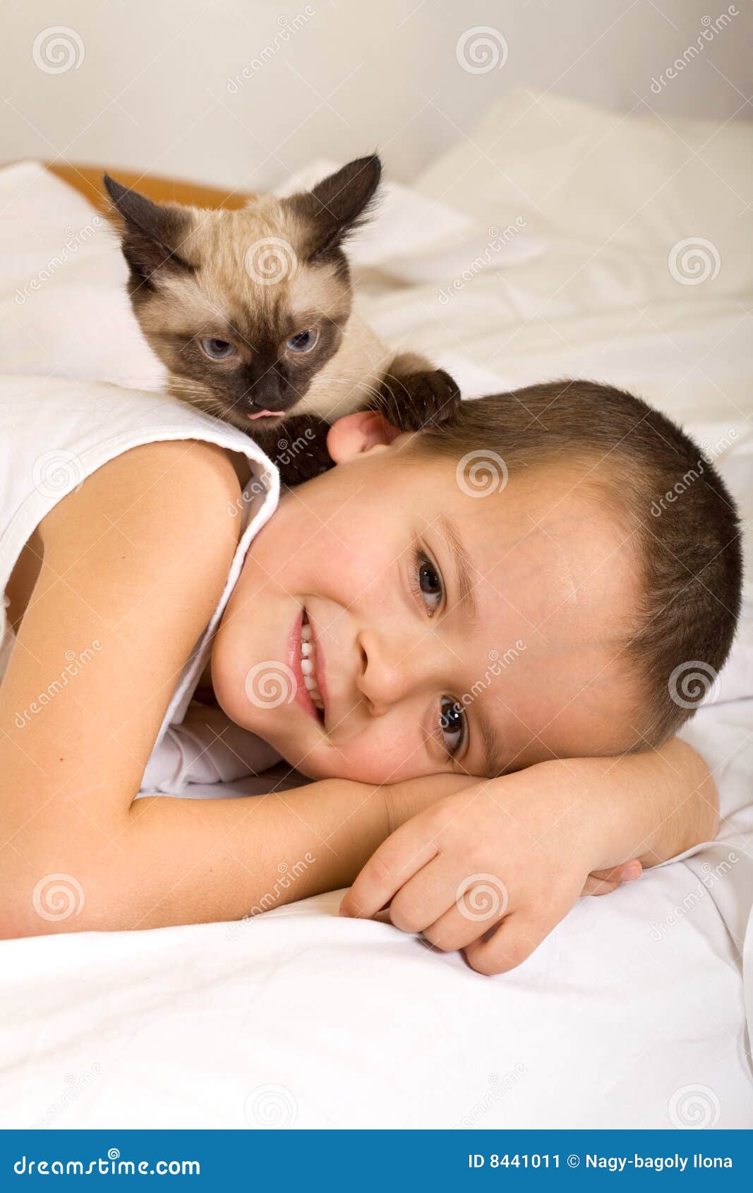 Best buddies having fun stock image. Image of kitten, buddies - 8441011