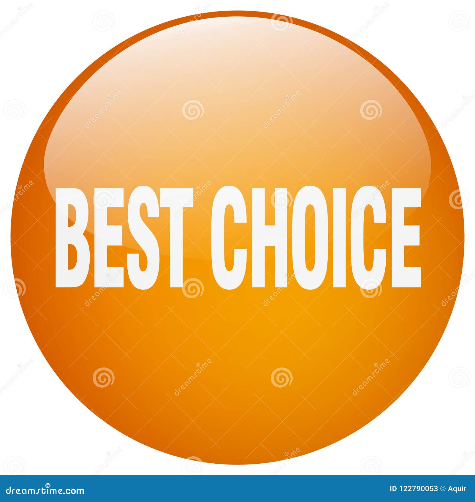 Best choice button stock vector. Illustration of element - 122790053