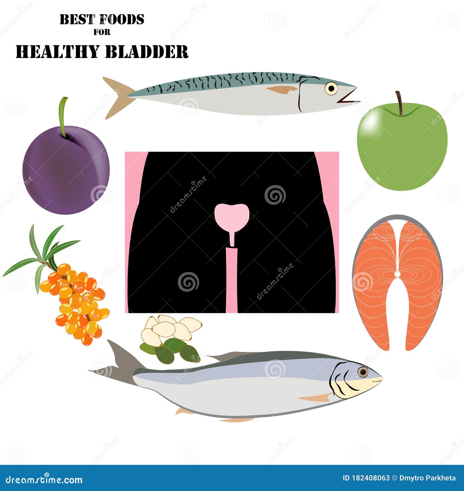 Healthy Bladder Infographic Vector Illustration | CartoonDealer.com ...