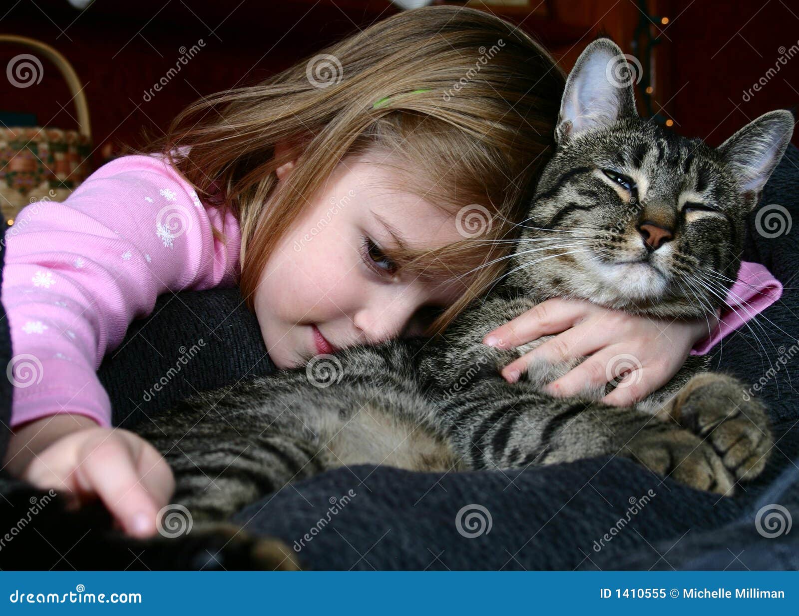 Best Friends stock image. Image of kittens, pets, adorable - 1410555