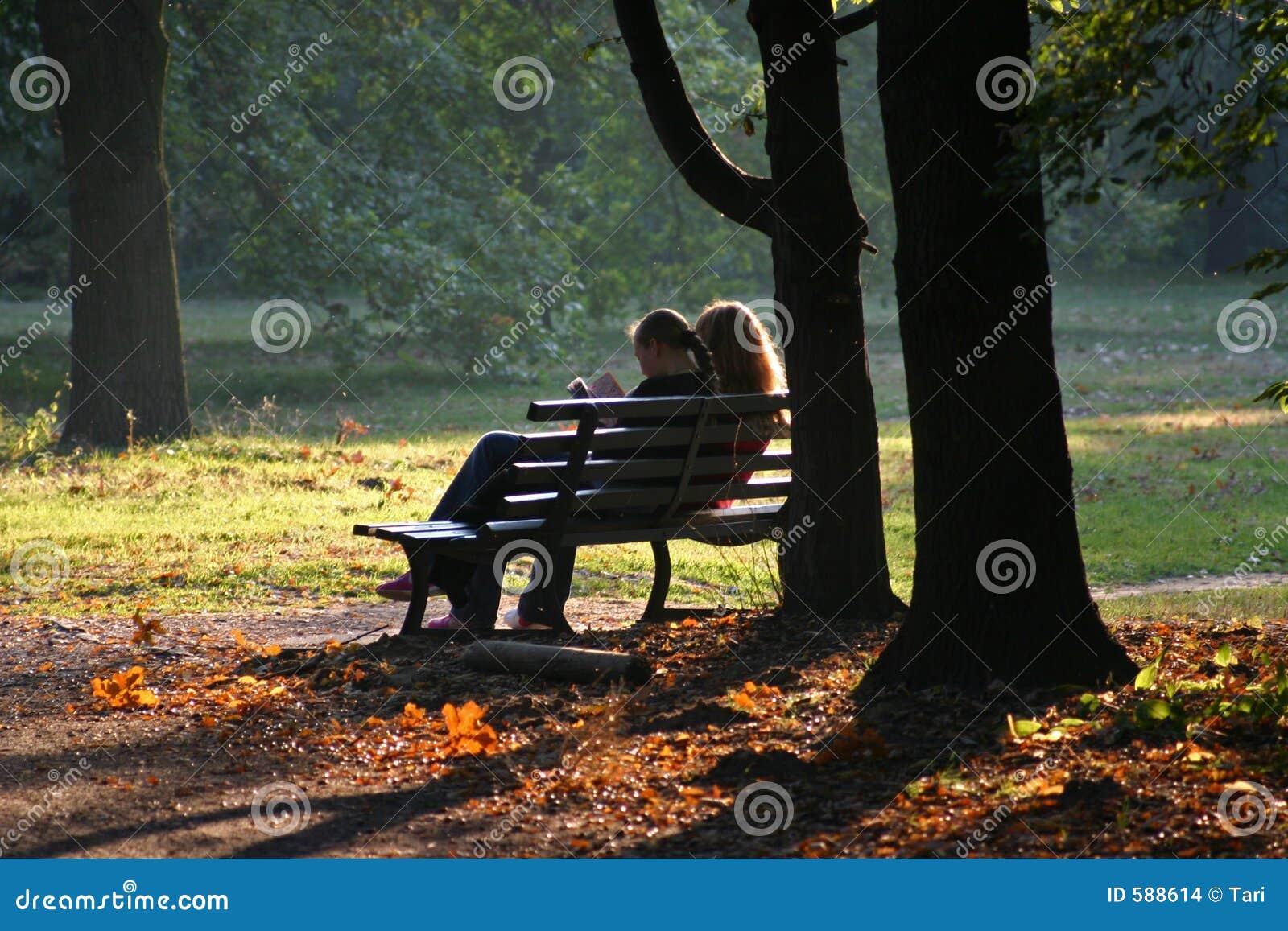 Best friends stock photo. Image of tree, mood, girls, park - 588614