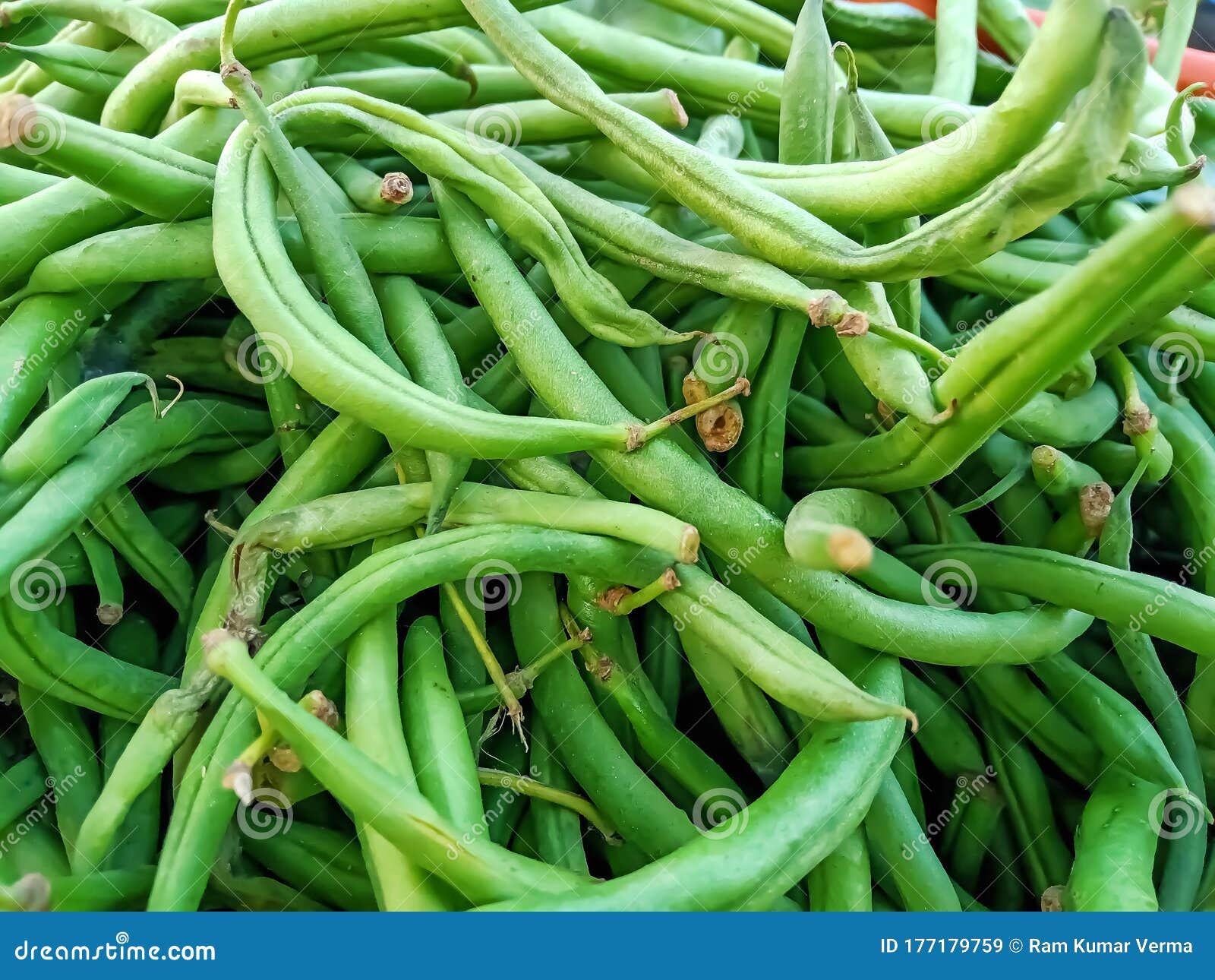 Best Green Beans Vegetables Image India Stock Image - Image of ...