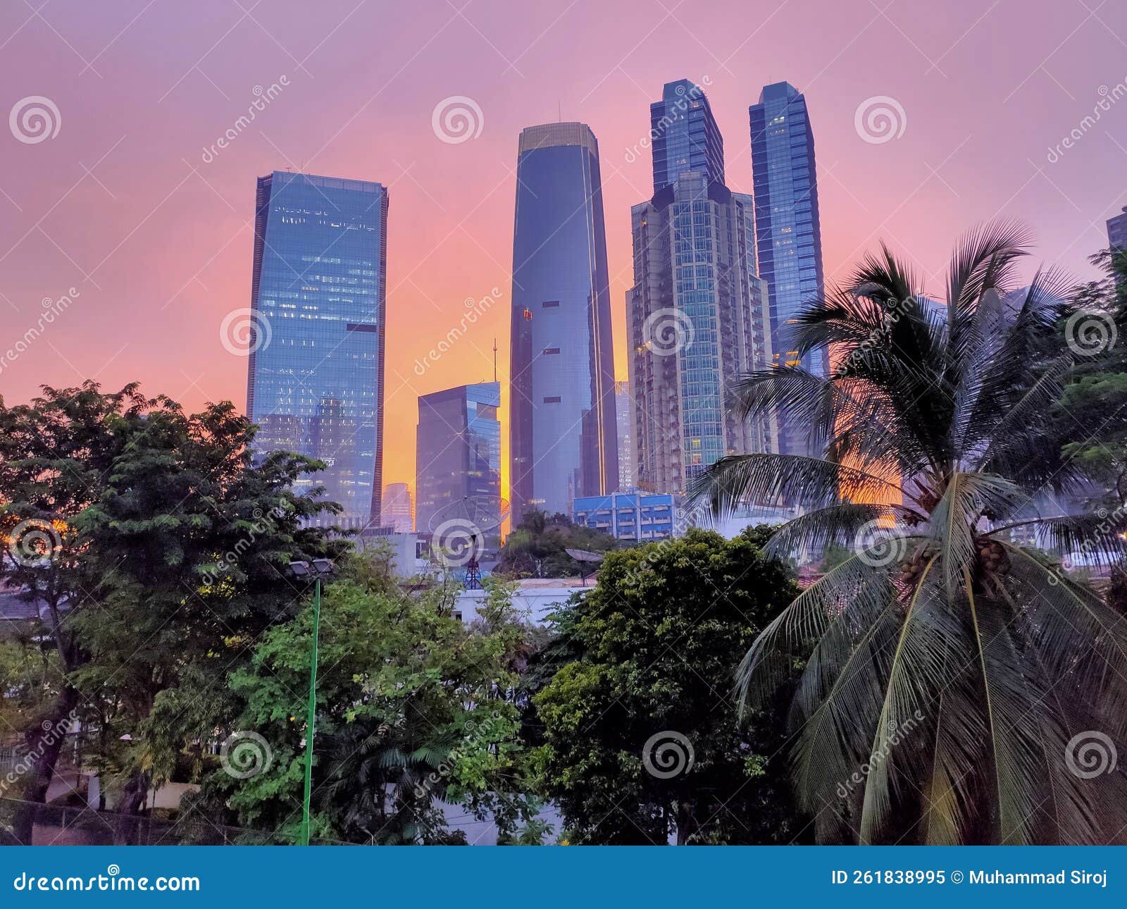 The Best Healing from Beautiful Scenery Stock Image - Image of night ...