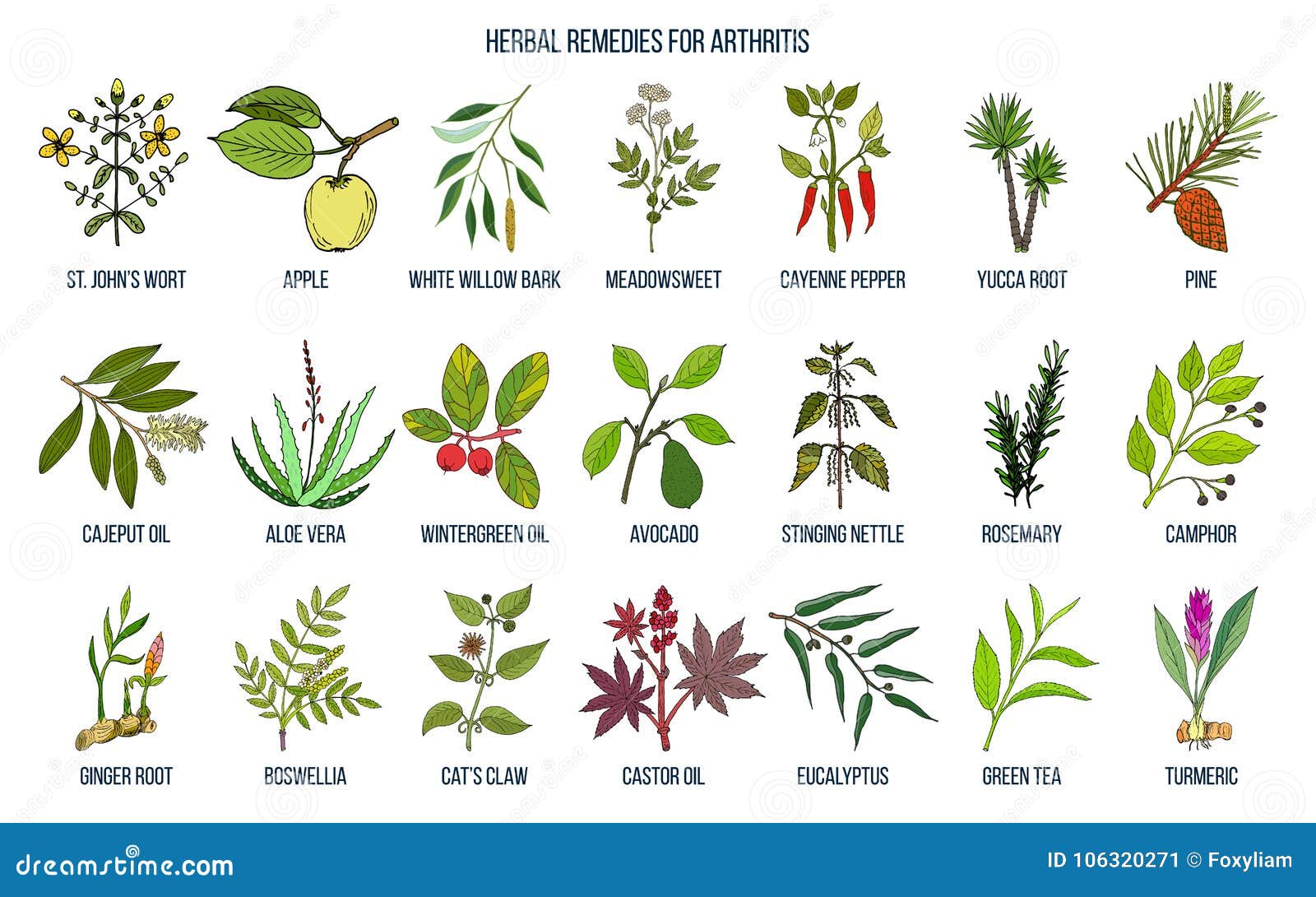 Best Herbal Remedies for Arthritis Stock Vector - Illustration of ...