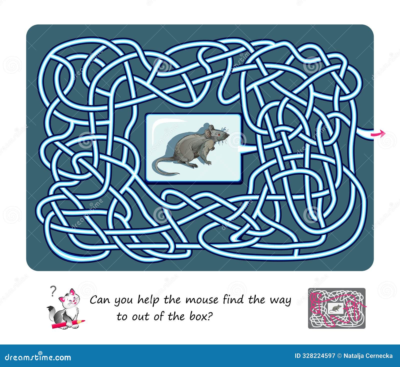 Best Labyrinths Can You Help The Mouse Find The Way To Out Of The Box Logic Puzzle Game Brain