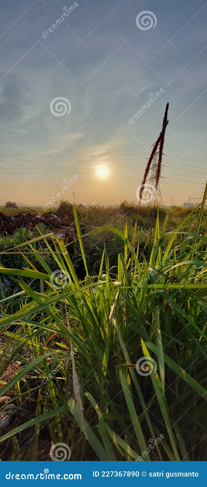 Best of Nature in Morning Sun Stock Photo - Image of spot, morning ...