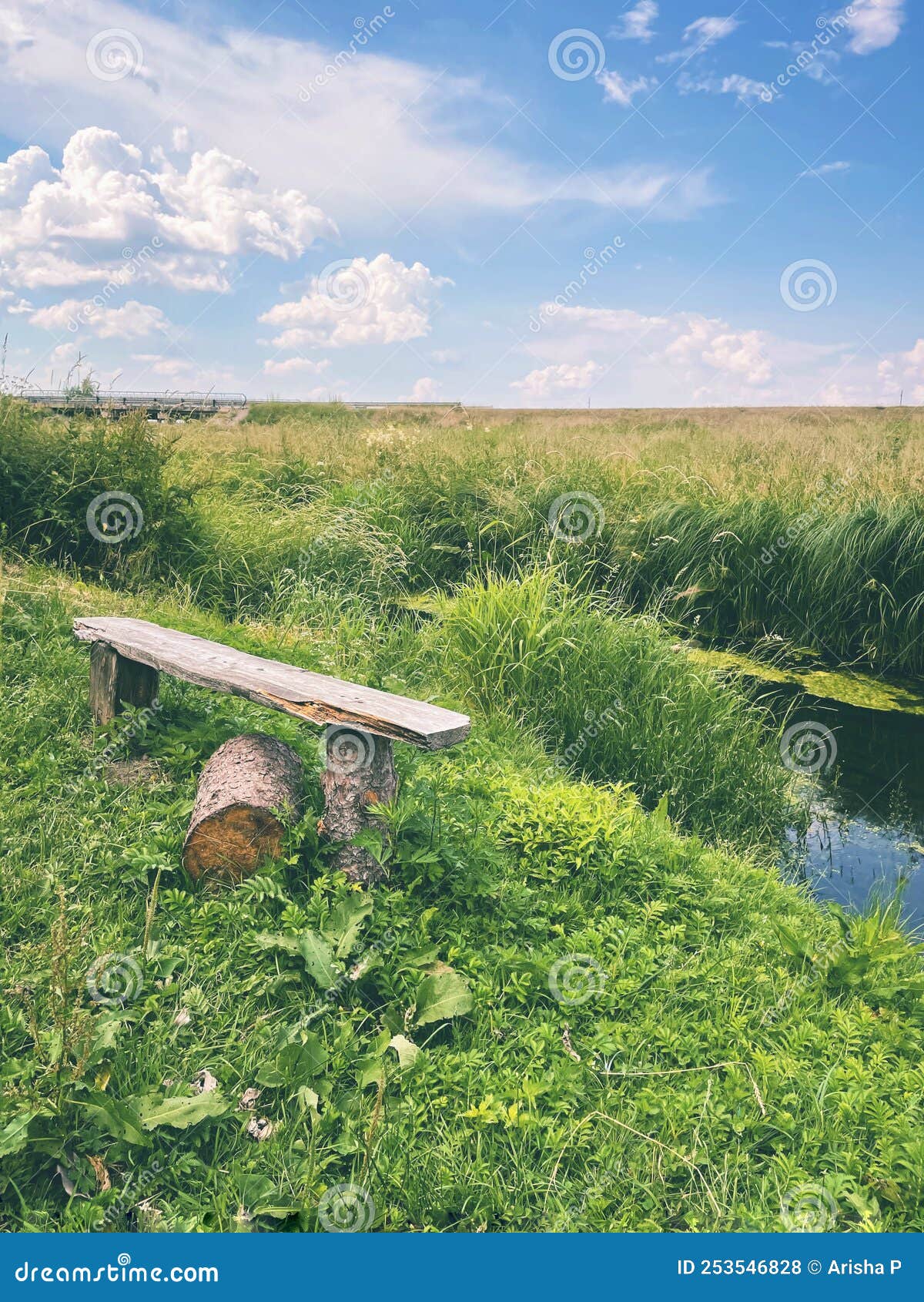 Quiet place to relax stock photo. Image of light, green - 253546828