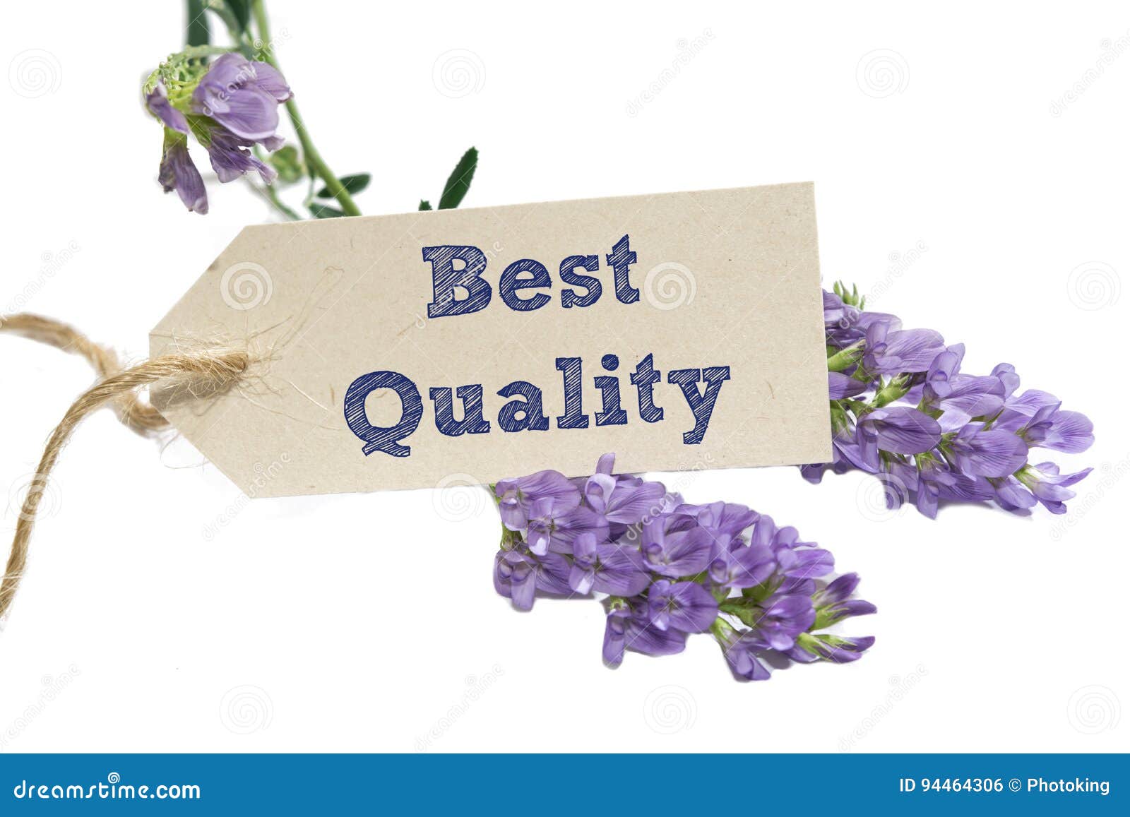 Best Quality stock photo. Image of purple, design, business - 94464306