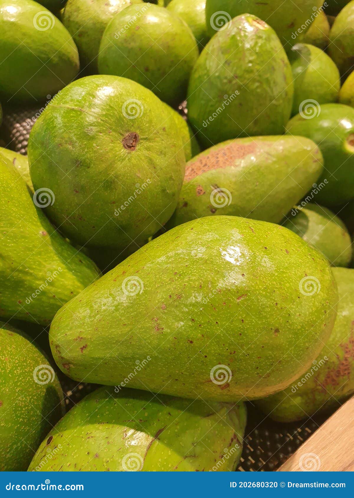 Best Ripe and Shiny Avocado Stock Photo - Image of yellow, shrub: 202680320