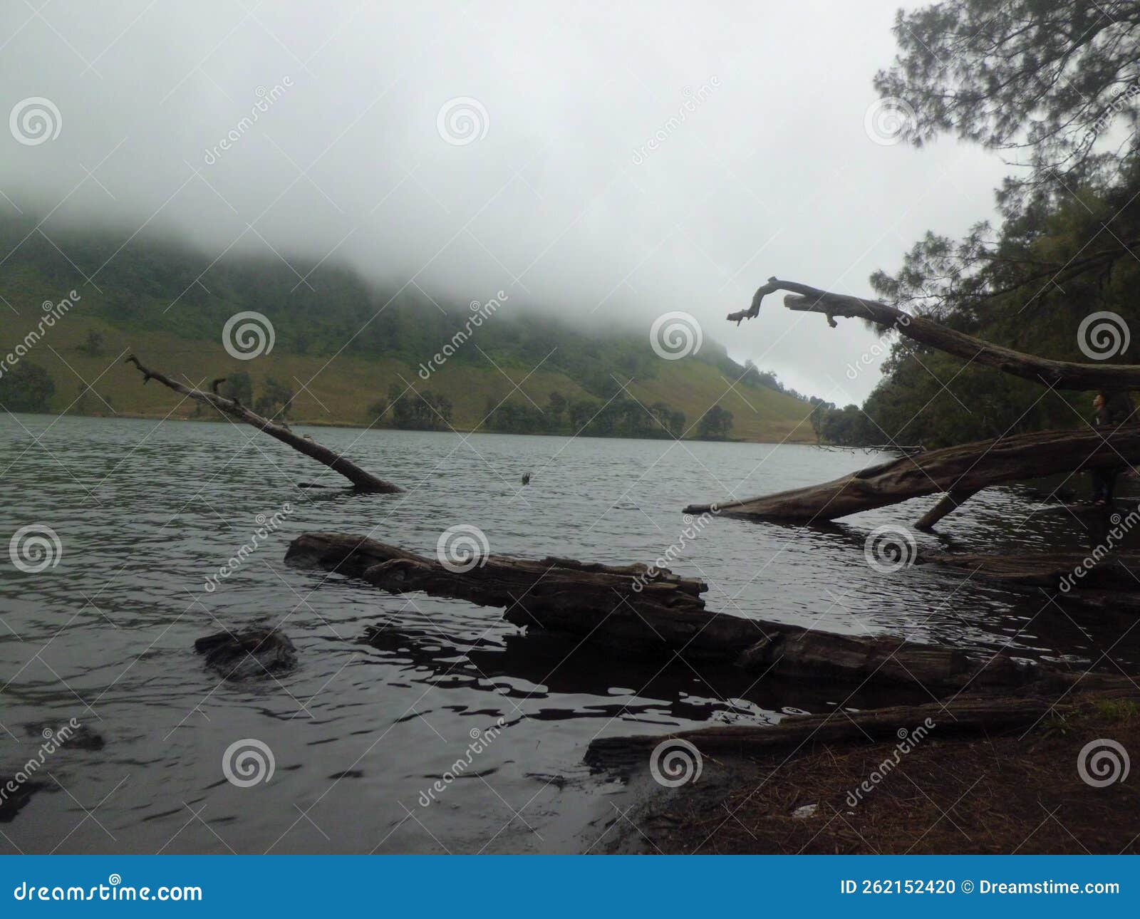 A Silent Place for Your Mood Stock Photo - Image of silent, mood: 262152420