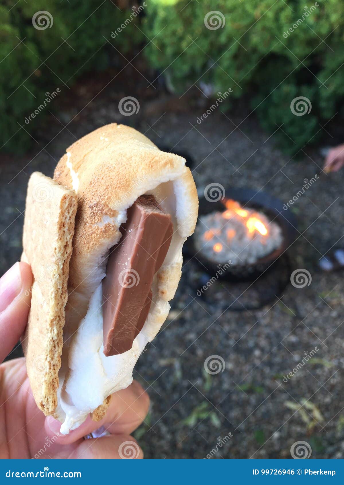 The Best Smore stock photo. Image of wafer, marshmallow - 99726946