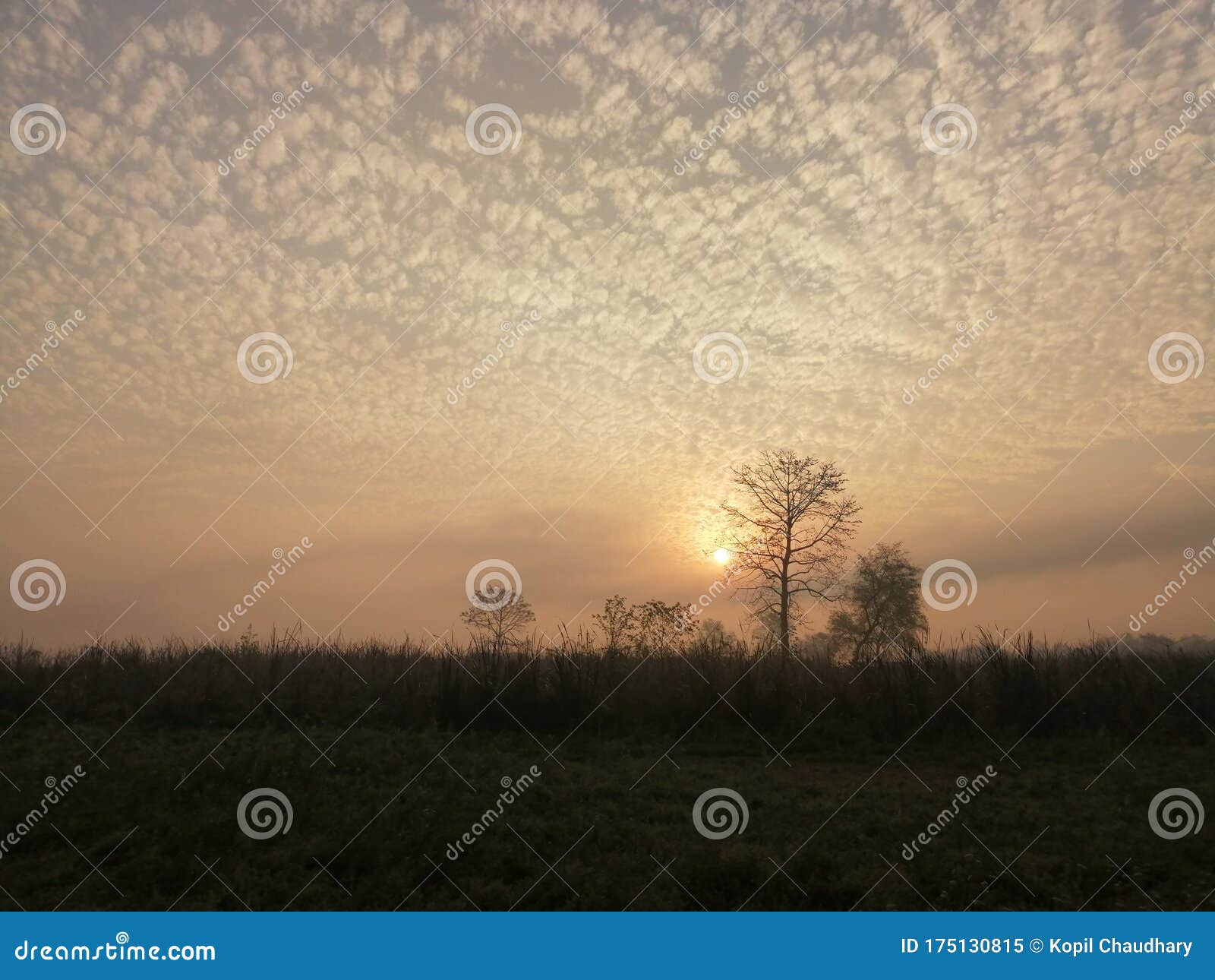 Best Sun Rises in the World. Stock Image - Image of world, nice: 175130815