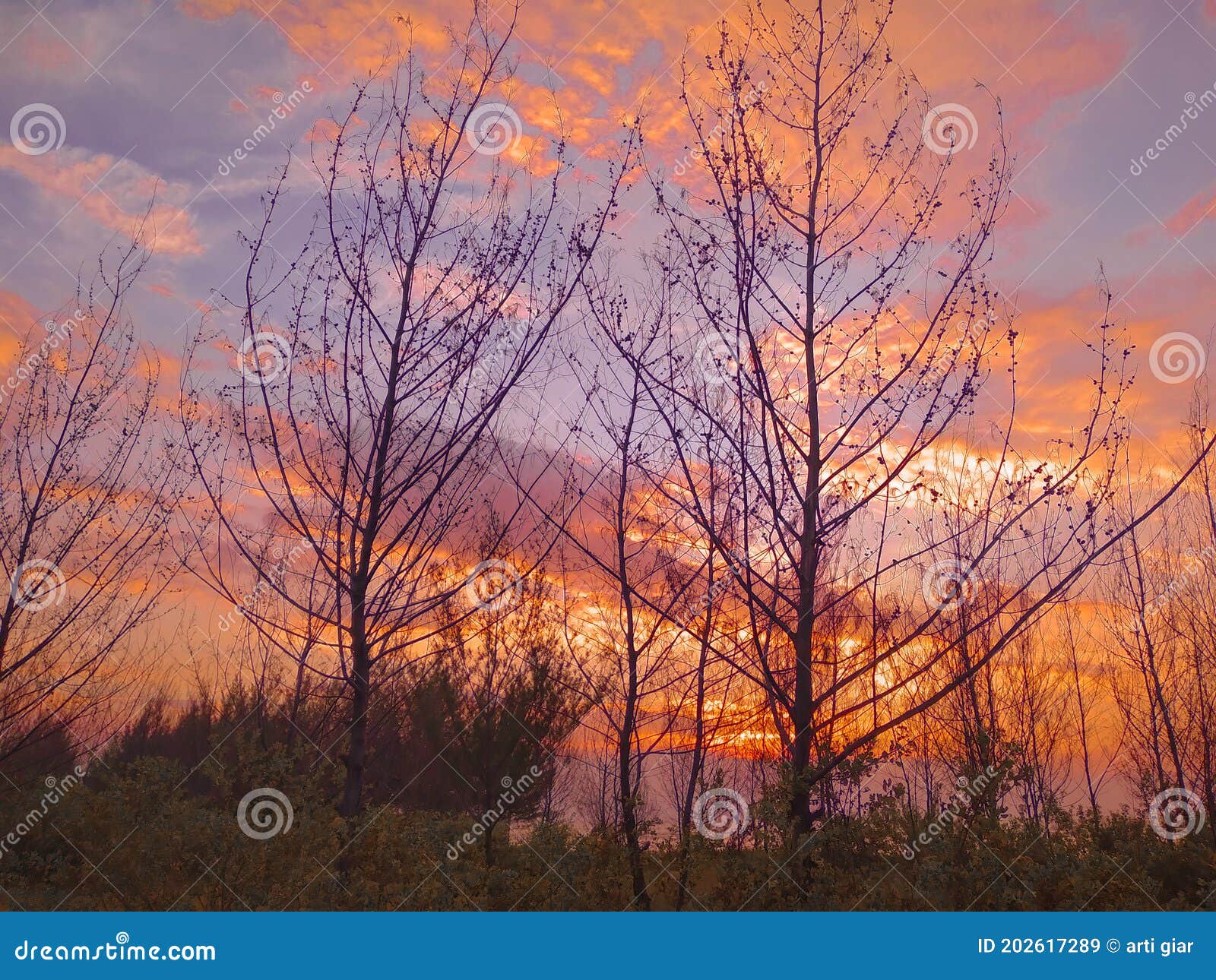 The best sunlight stock image. Image of clouds, sunset - 202617289