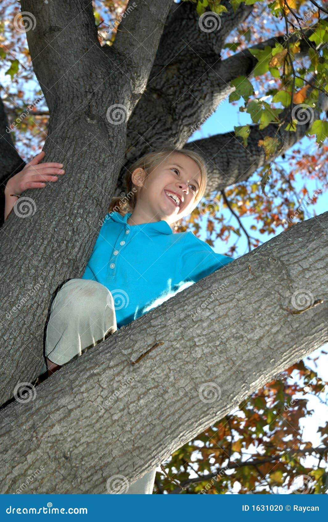 Best View stock photo. Image of girls, happy, female, care - 1631020