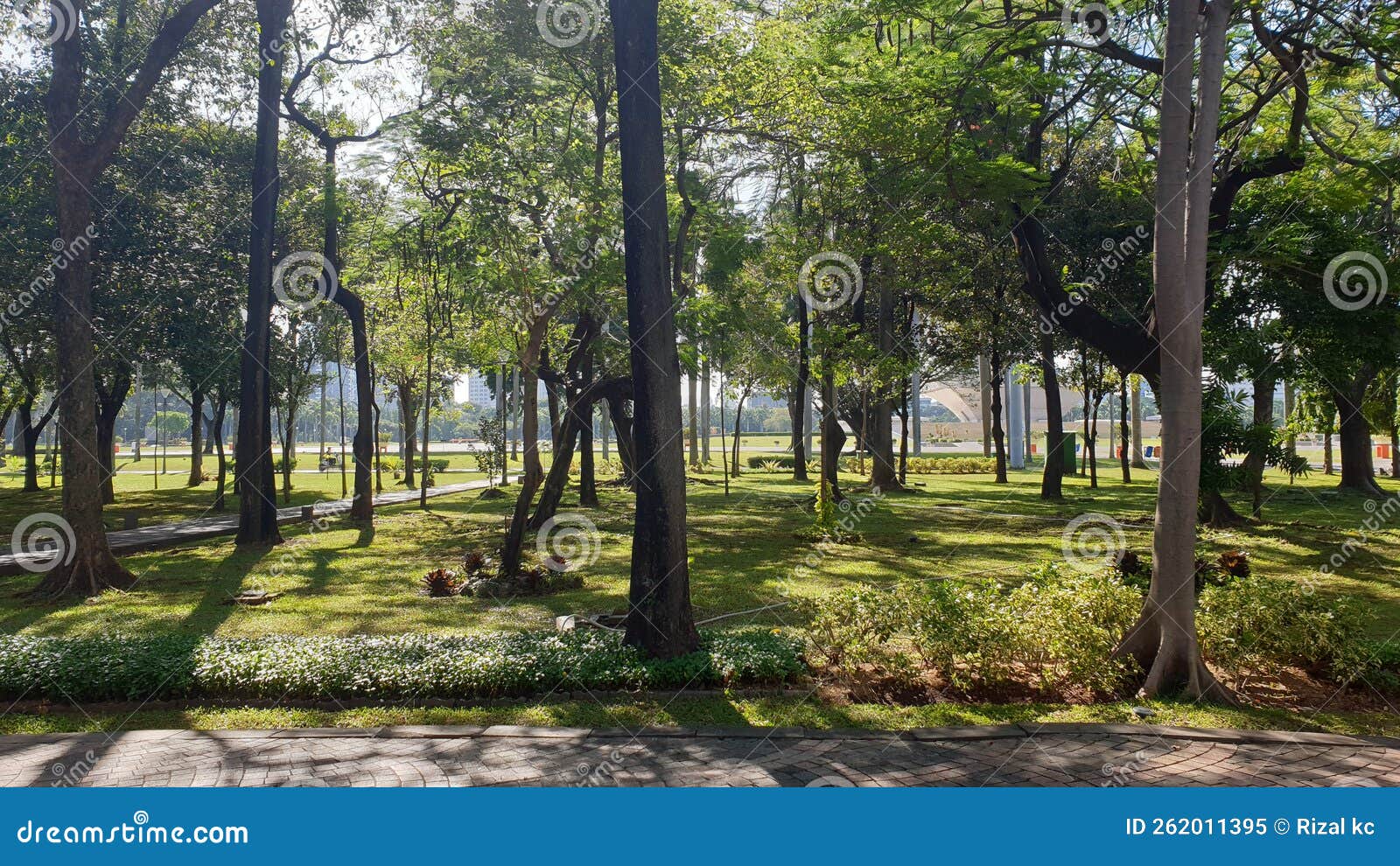 The Tree at Monas in Jakarta, Indonesia Editorial Image - Image of ...