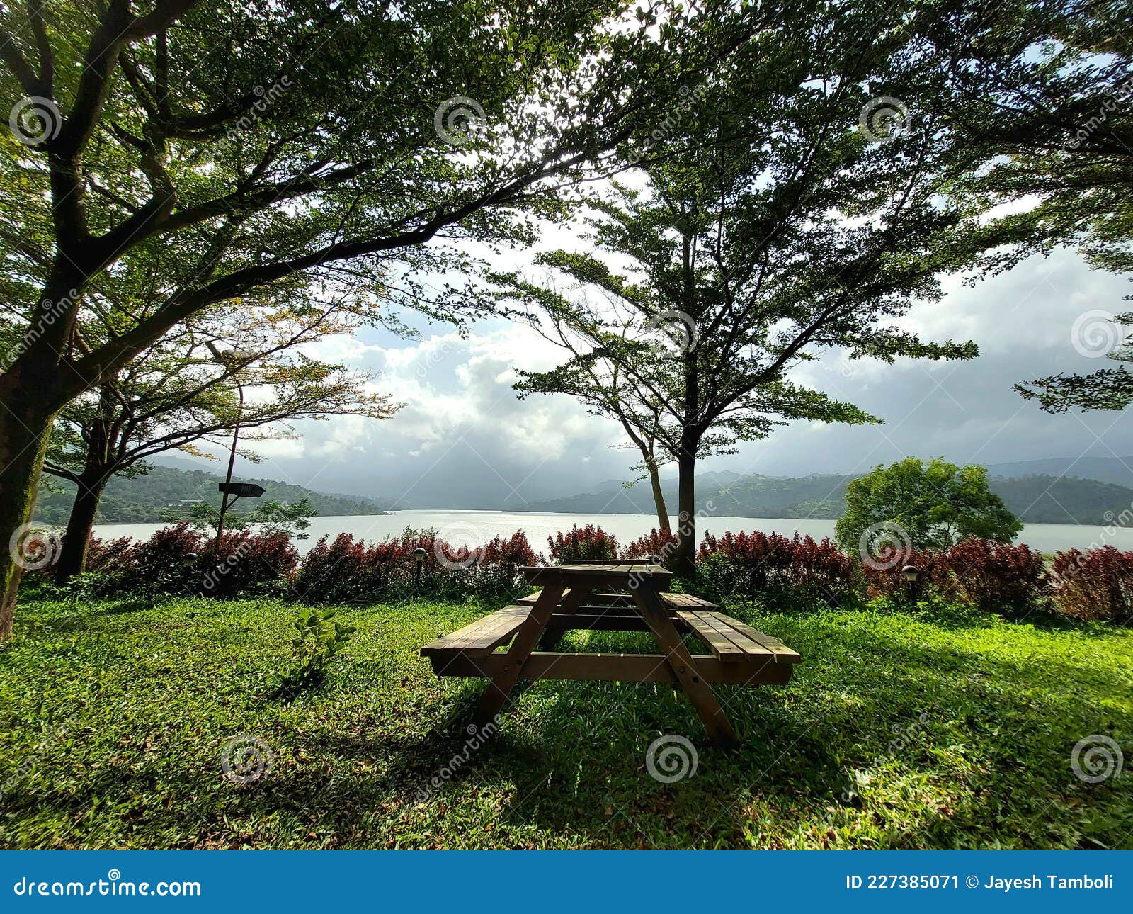 Best View of Backwater of Nature Stock Image - Image of tree ...