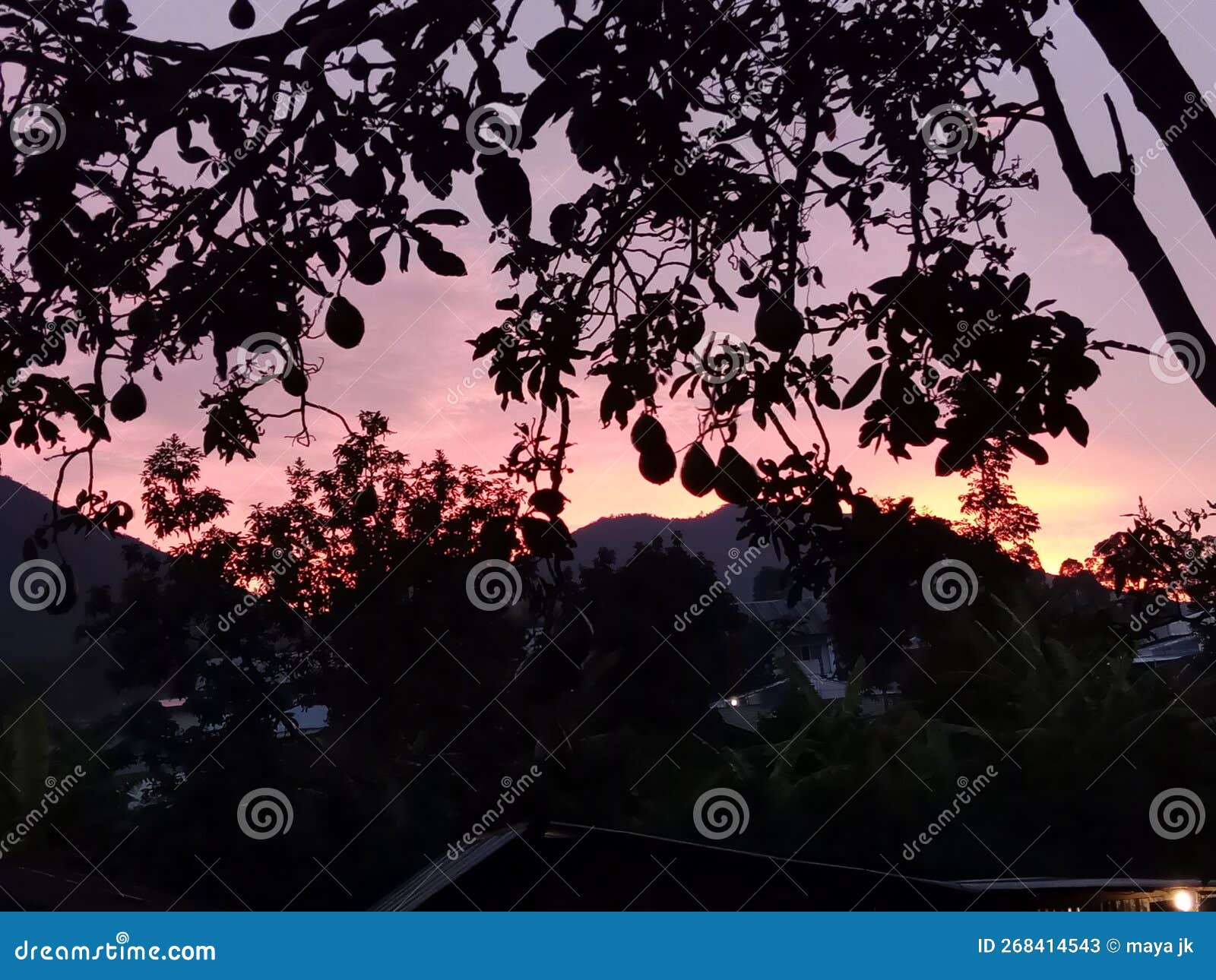 The best view at home stock image. Image of favorite - 268414543