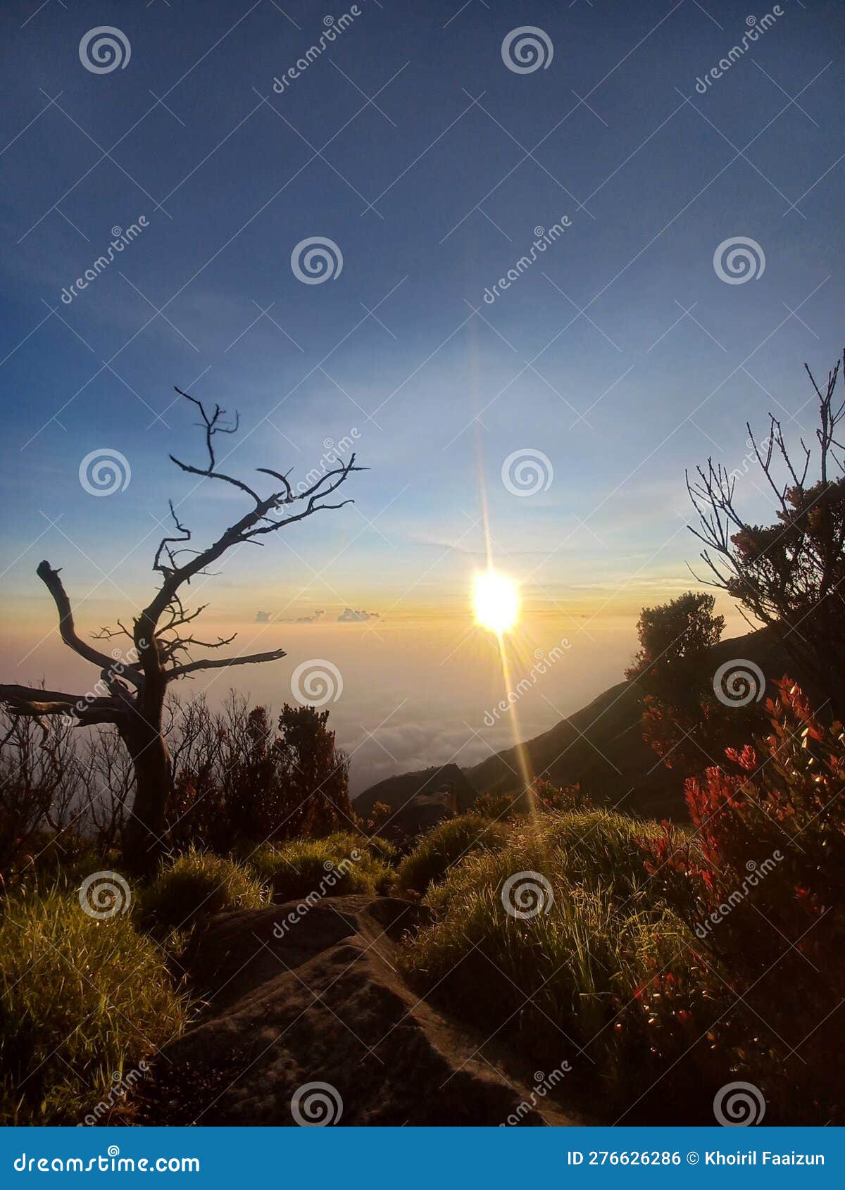 Best view mount merbabu stock photo. Image of autumn - 276626286