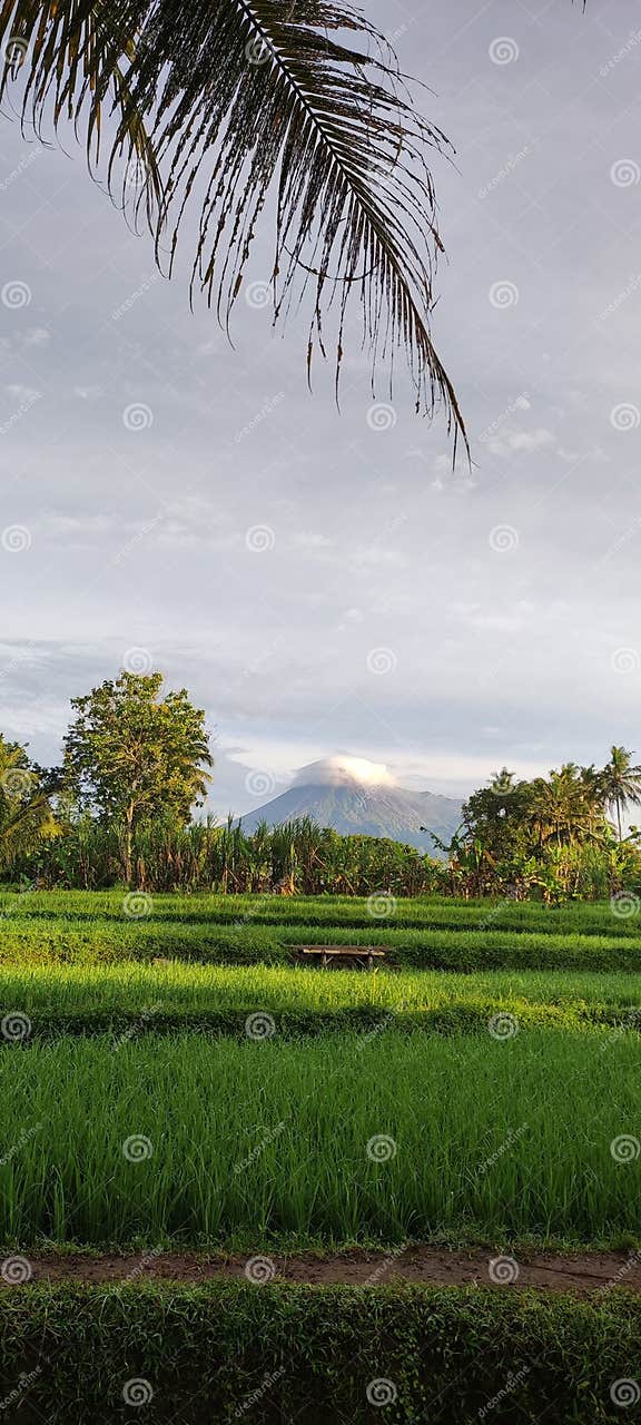The Best View of Mountain and Fields Stock Photo - Image of view ...
