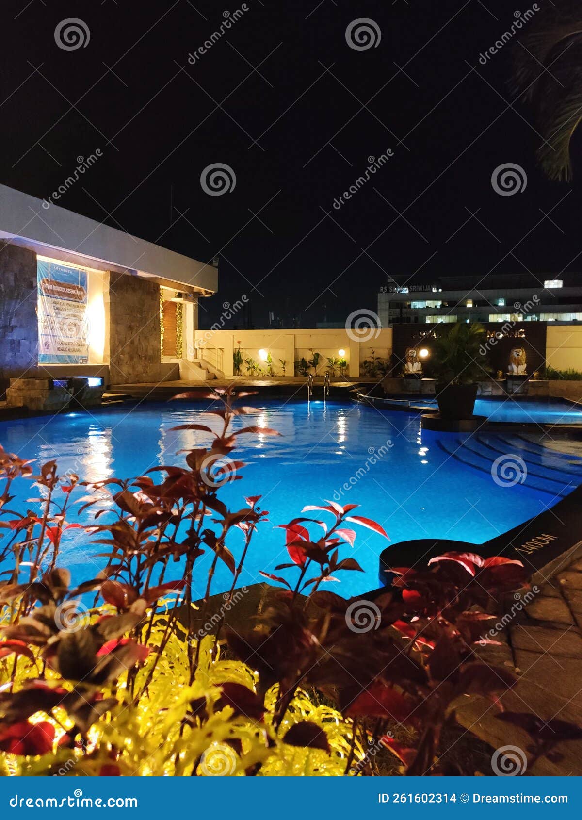 Best view of swimming pool stock photo. Image of hotel - 261602314