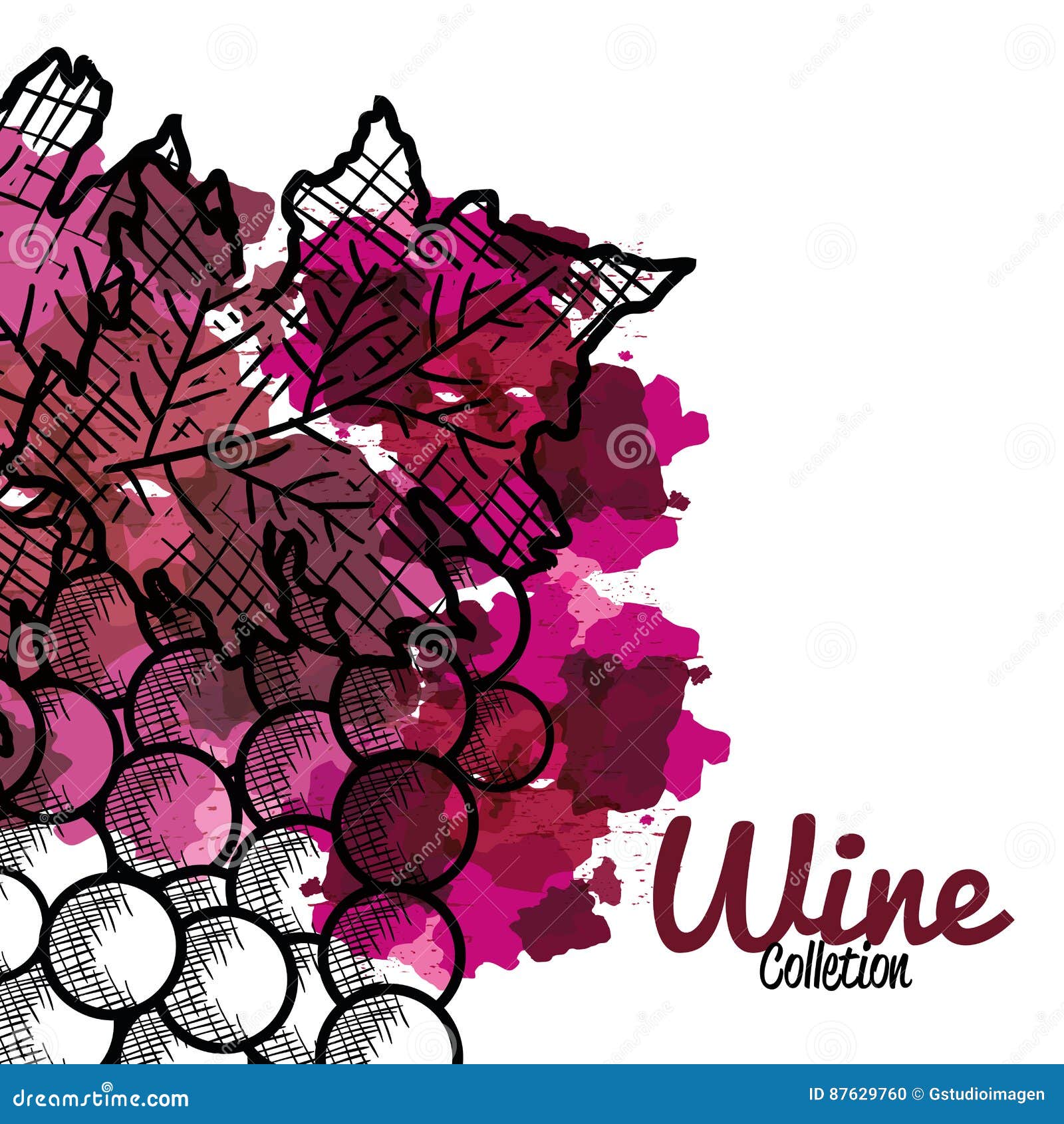 Best wine grapes fruit stock vector. Illustration of stamp - 87629760