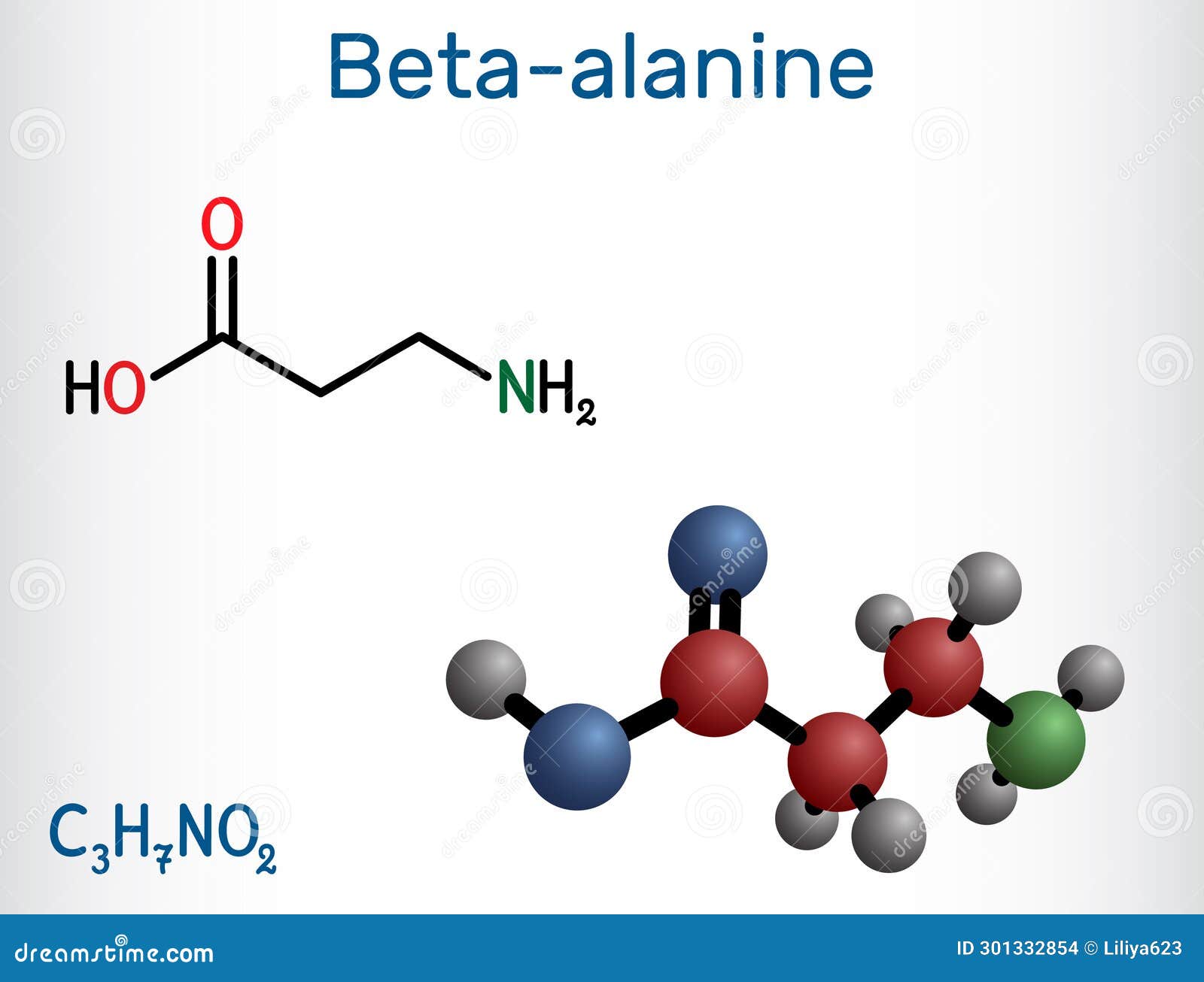 Beta Alanine, B-alanine, Amino Acid, Molecular Structures, 3d Rendering ...