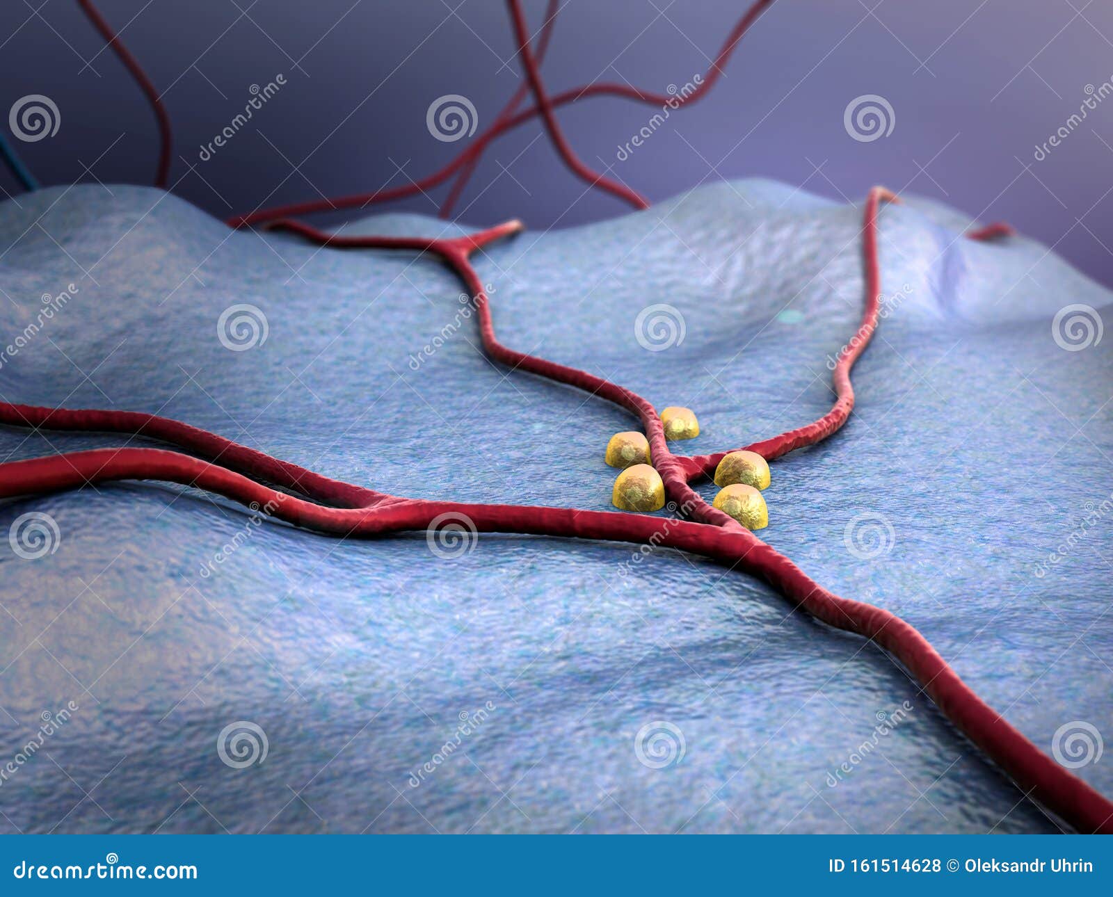 Beta Cells on the Pancreas Surface Stock Illustration - Illustration of ...