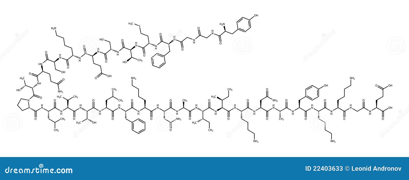 Beta-endorphin stock vector. Illustration of molecular - 22403633