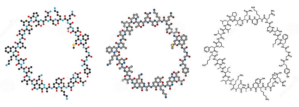 Beta-endorphin Endogenous Opioid Peptide Molecule Stock Vector ...
