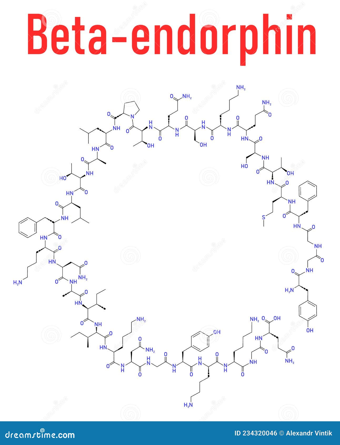 Beta-endorphin Endogenous Opioid Peptide Molecule. Skeletal Formula ...