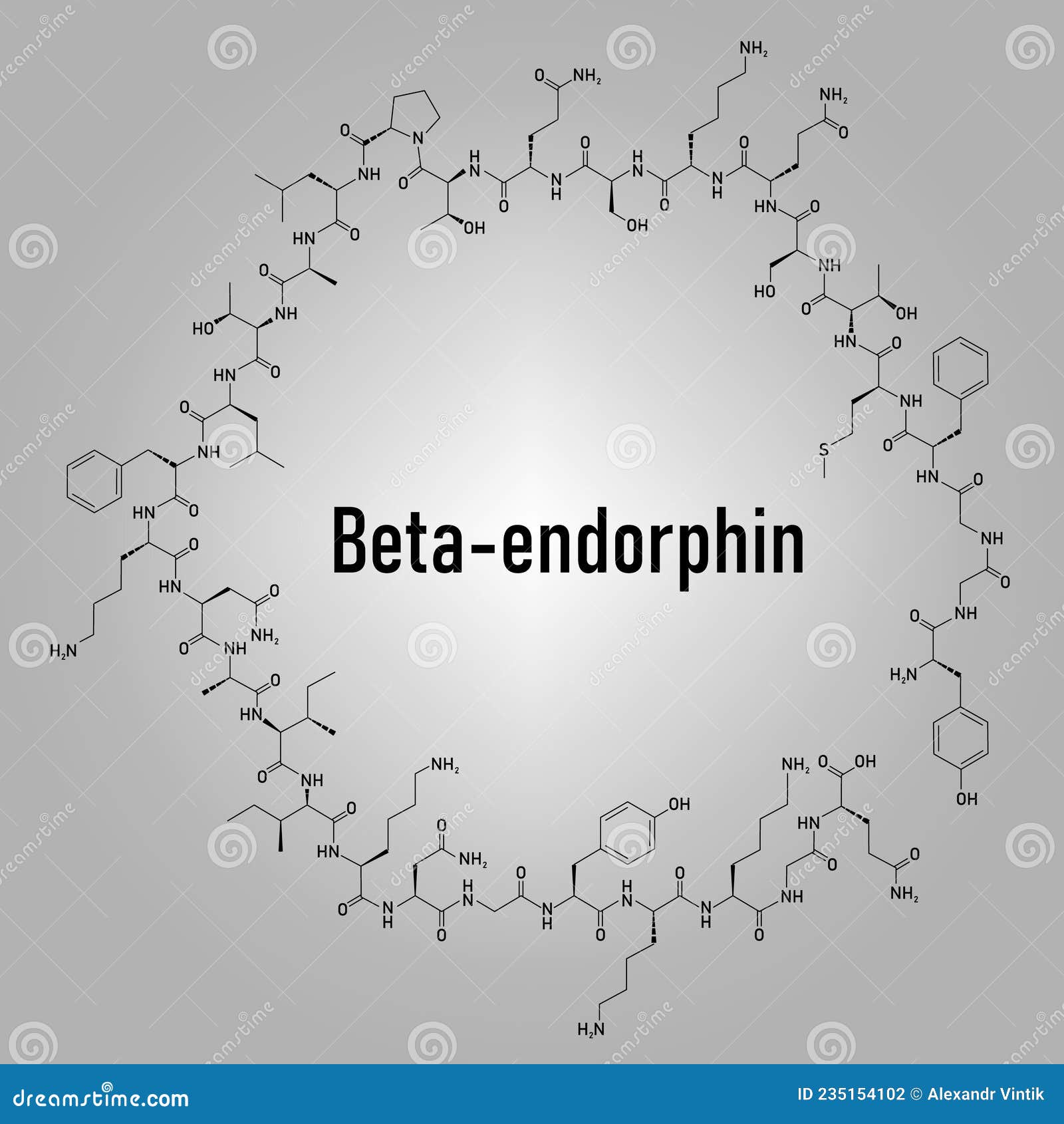 Beta-endorphin Endogenous Opioid Peptide Molecule. Skeletal Formula ...
