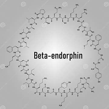Beta-endorphin Endogenous Opioid Peptide Molecule. Skeletal Formula ...