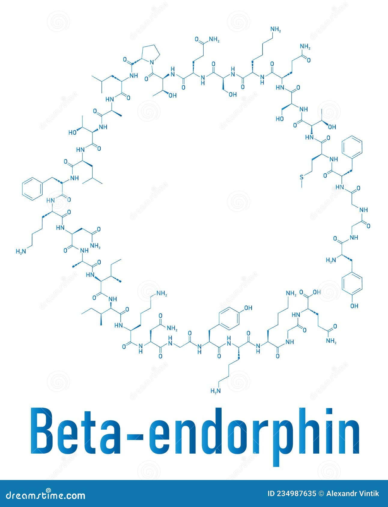 Beta-endorphin Pain-relieving Peptide, Chemical Structure. Endorphins ...