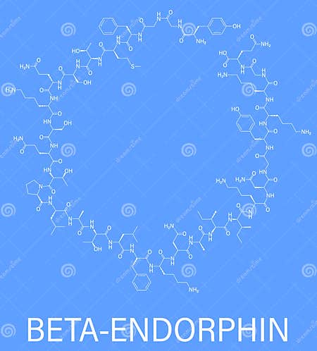 Beta-endorphin Molecule. Skeletal Formula. Stock Vector - Illustration ...