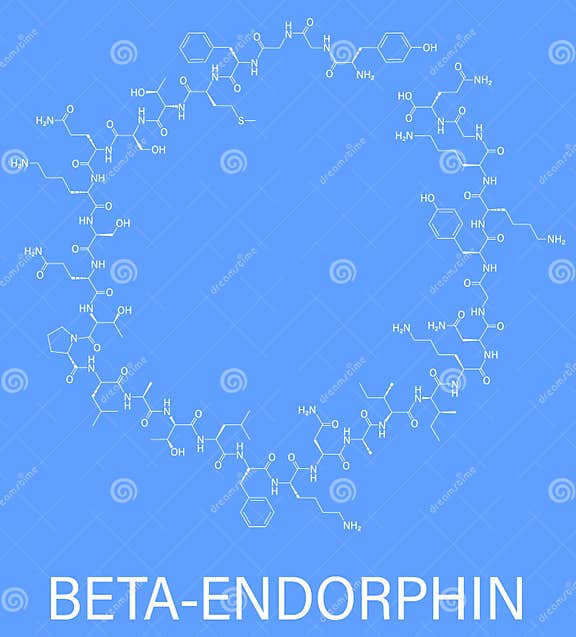 Beta-endorphin Molecule. Skeletal Formula. Stock Vector - Illustration ...