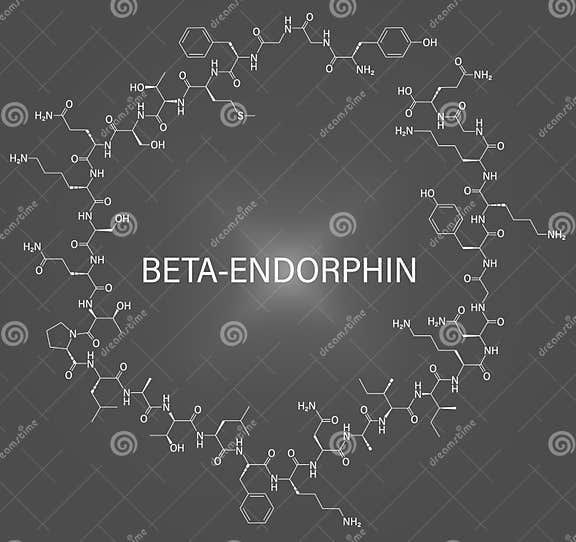 Beta-endorphin Molecule. Skeletal Formula. Stock Vector - Illustration ...