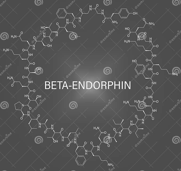 Beta-endorphin Molecule. Skeletal Formula. Stock Vector - Illustration ...