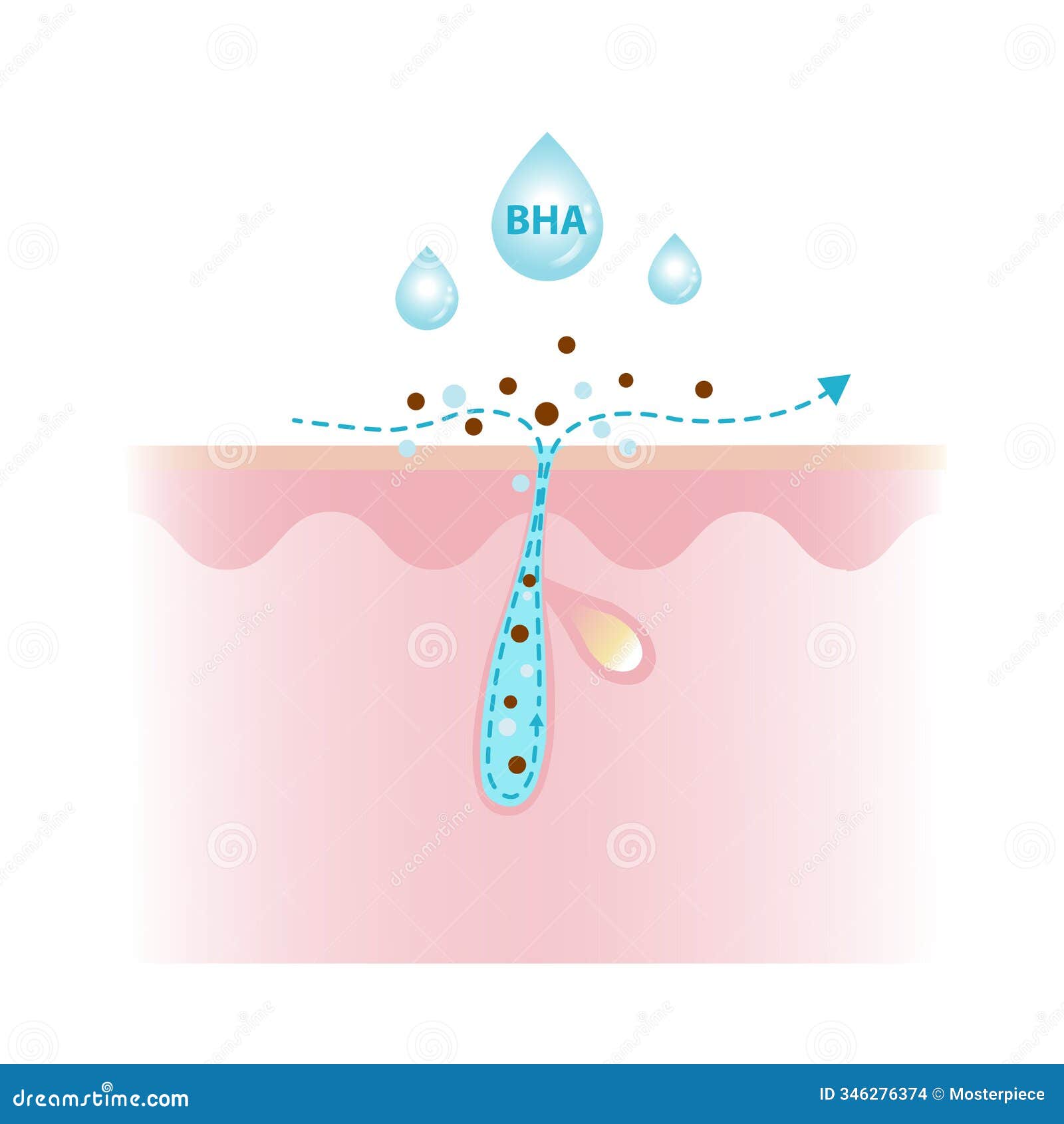 Beta-hydroxy Beta-methylbutyric Acid Or HMB Leucine Metabolite Molecule ...