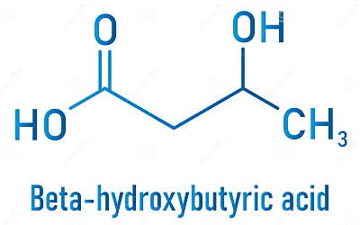 Beta-hydroxybutyric Acid or Beta-hydroxybutyrate Molecule. Skeletal ...