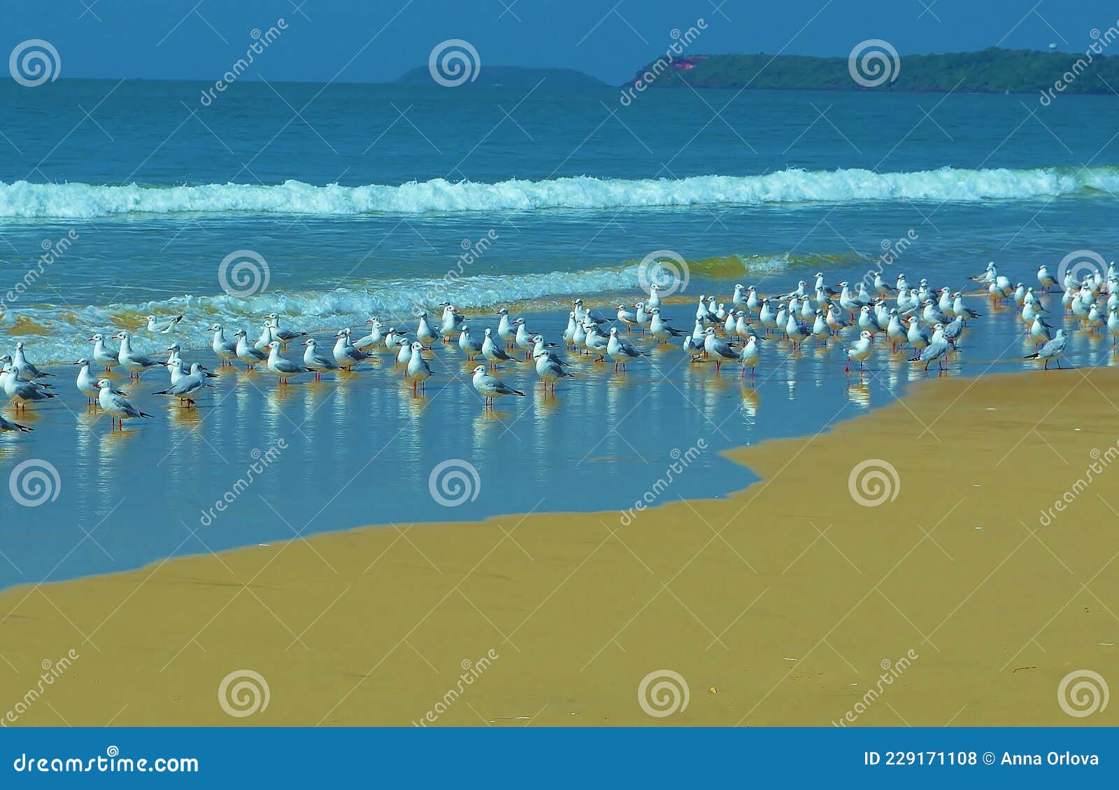 Betalbatim Beach in South Goa, India Stock Photo - Image of view ...