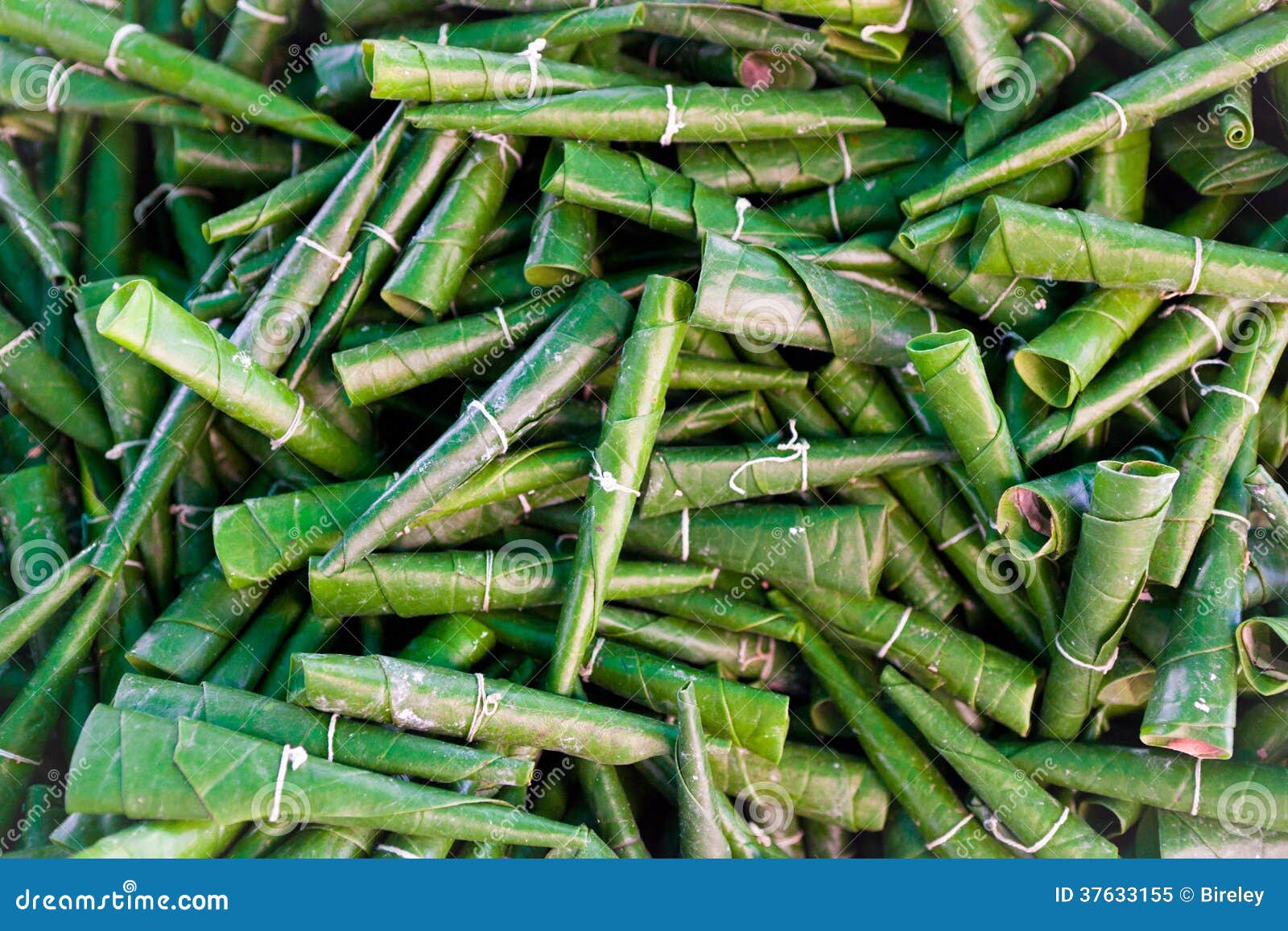 Betel leaf roll stock image. Image of green, medicine - 37633155