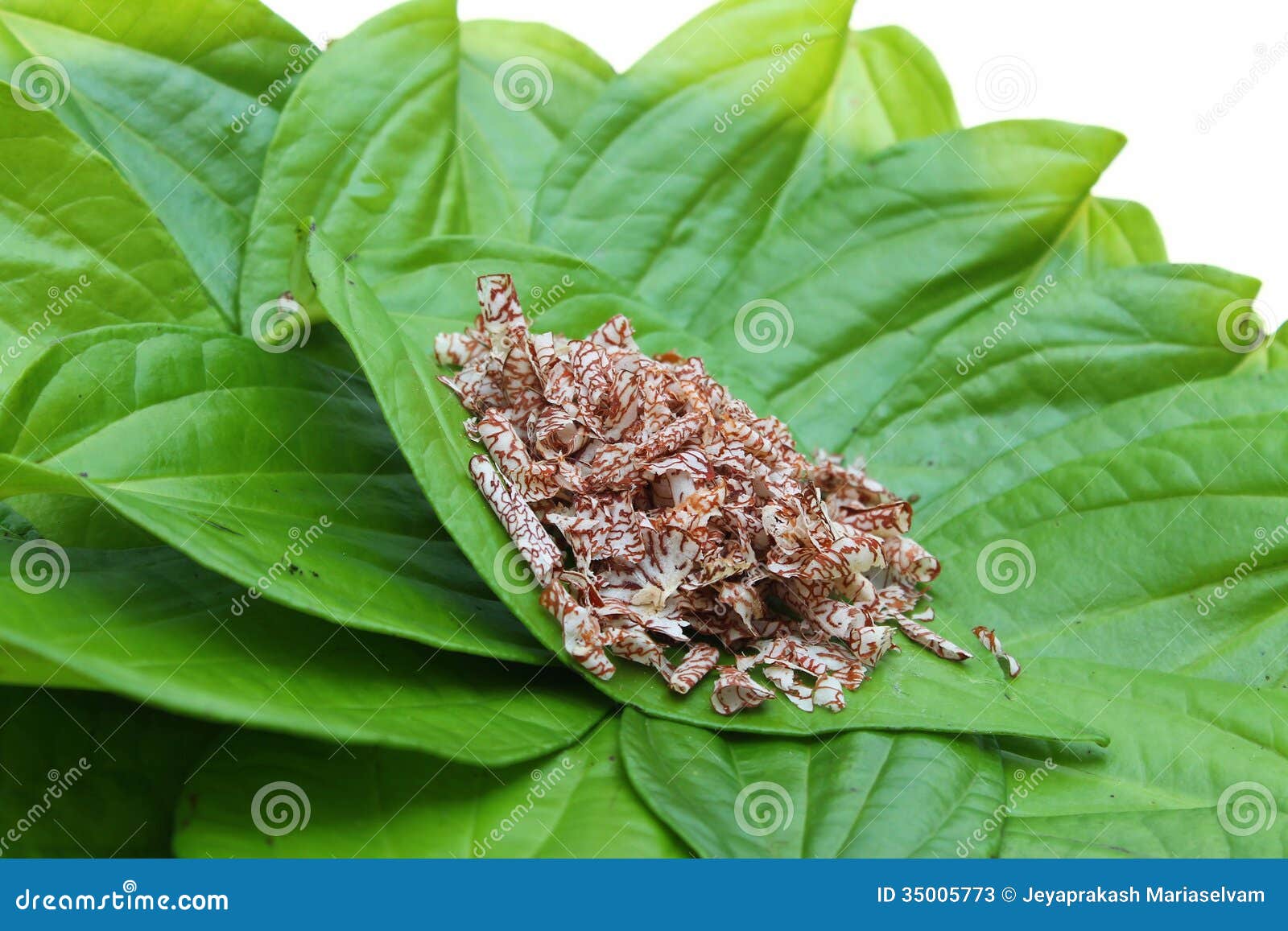 Betel Leaves and Sliced Areca Nut Stock Image - Image of leaves ...